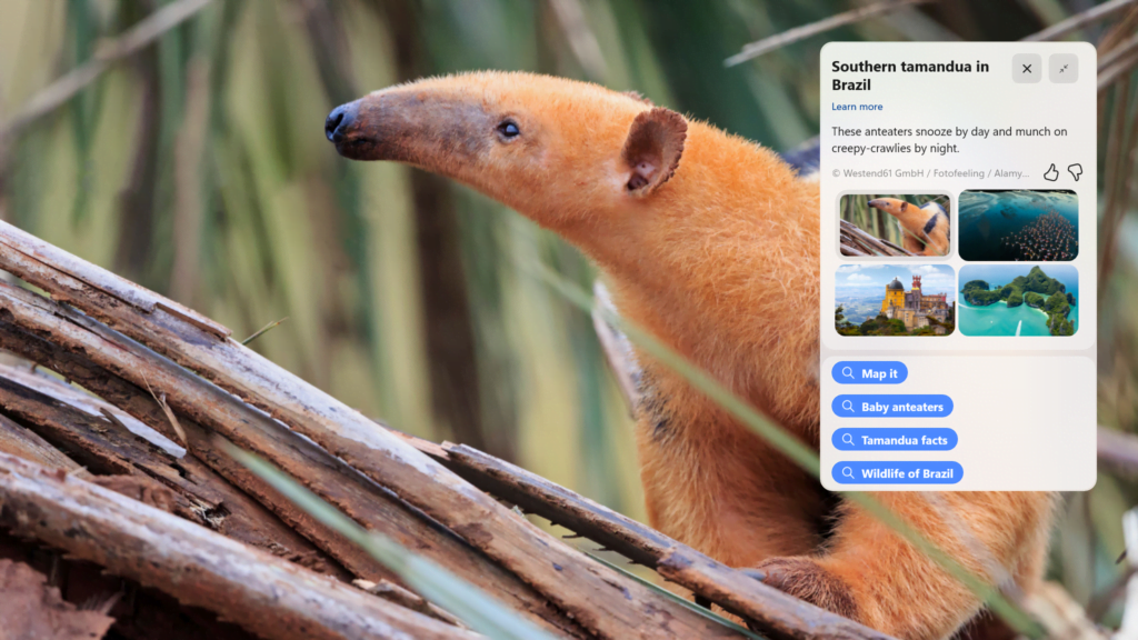 What is Spotlight and How to Activate it in Windows 10? | All Tech Nerd