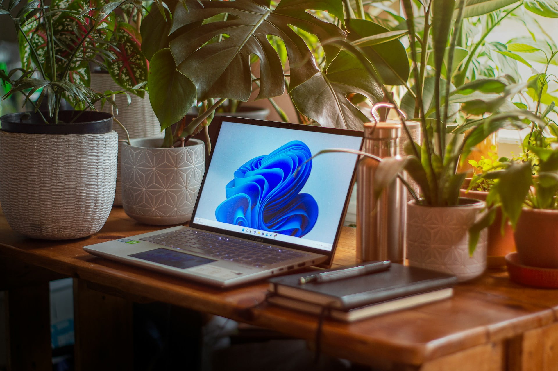 Windows 11 24H2 Processor Support: What Users Actually Need to Know ...